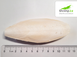 Shrimp.cz - online akvaristika